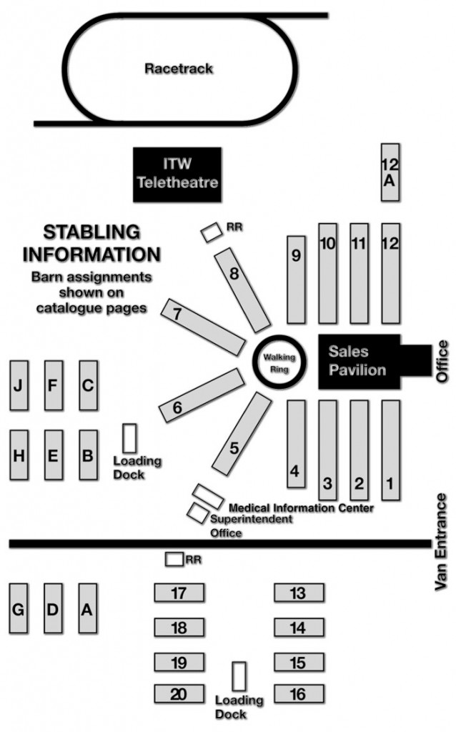 OBS Guidelines & Rules – OBS Sales
