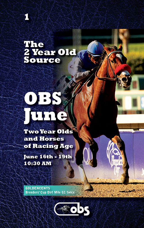 2015 June Two-Year-Olds & Horses of Racing Age – OBS Sales