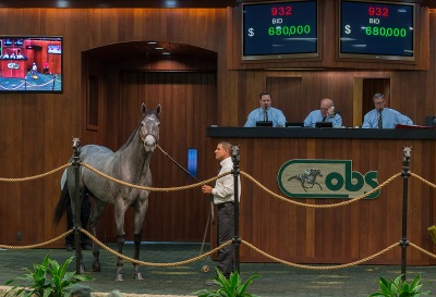 Candy Ride (ARG) colt sets mark at record breaking June Sale’s final ...
