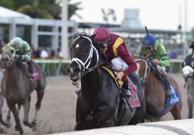 Coal Front captures Gulfstream’s Mr. Prospector Stakes – OBS Sales