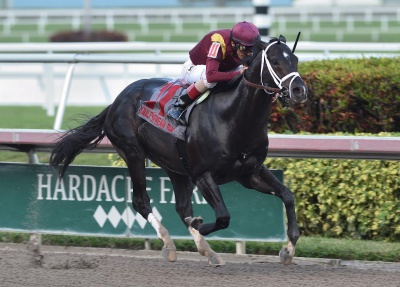 Coal Front captures Gulfstream’s Mr. Prospector Stakes – OBS Sales