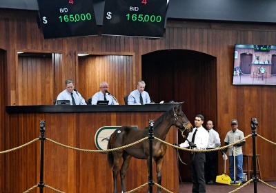 Union Rags colt tops Winter Mixed Sale’s opening day – OBS Sales