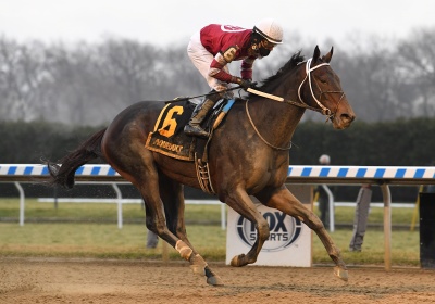 Bankit wins Aqueduct’s Alex M. Robb Stakes – OBS Sales
