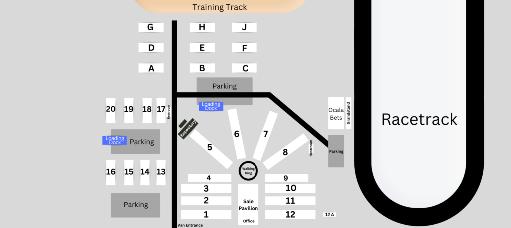 Consignor Information – OBS Sales