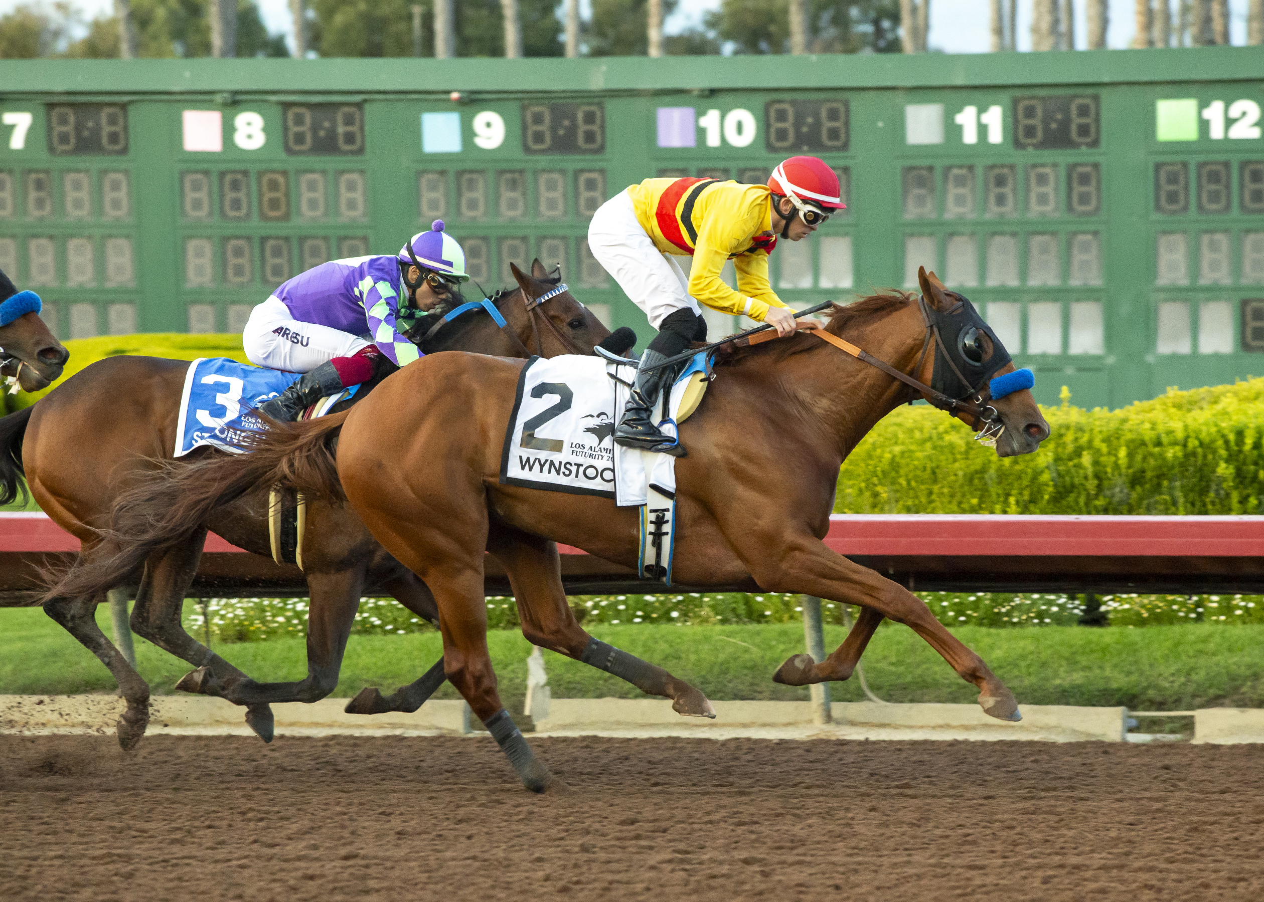 Wynstock wins the Los Alamitos Futurity – OBS Sales