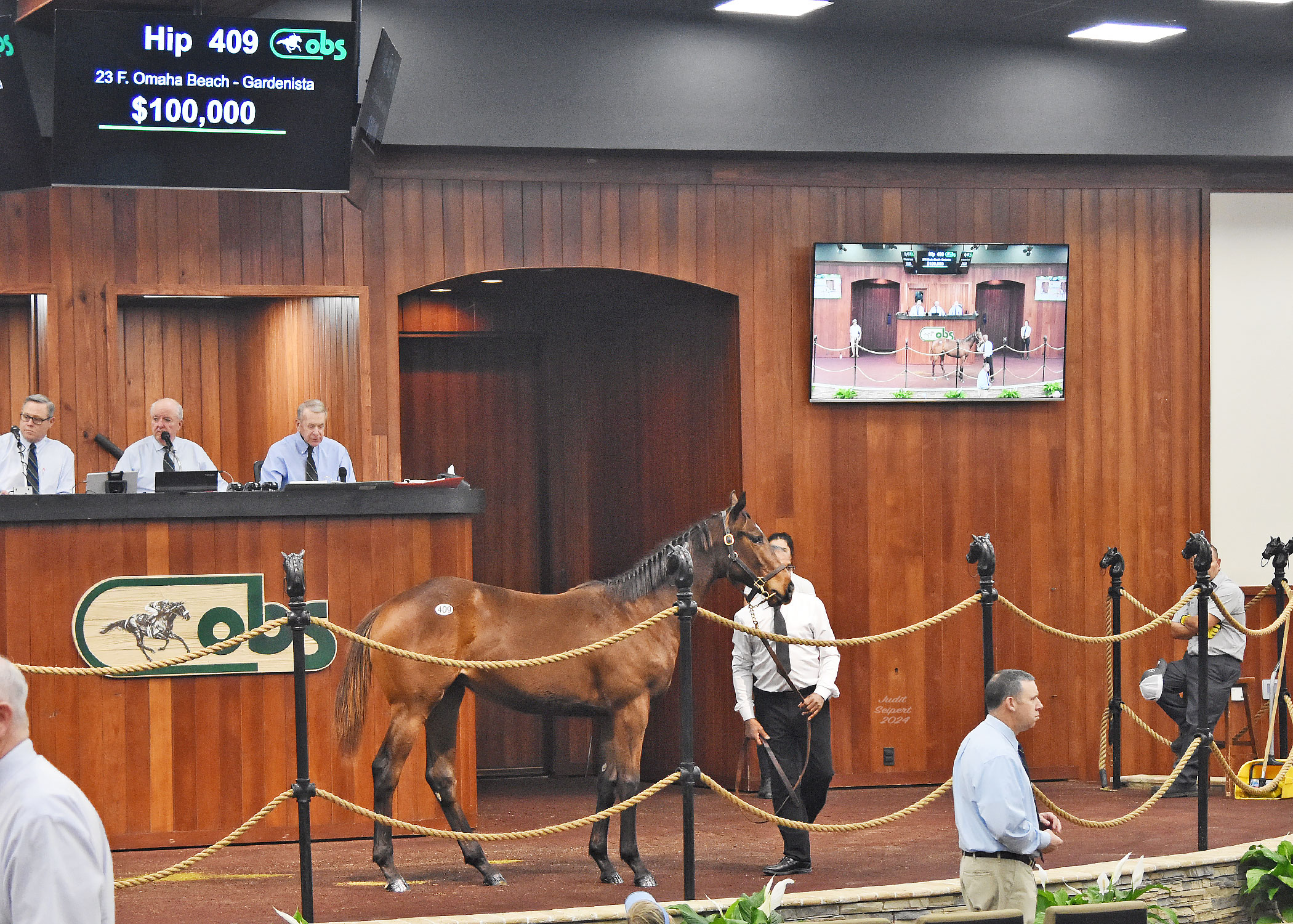 Omaha Beach filly tops Winter Mixed Sale’s Open Session – OBS Sales