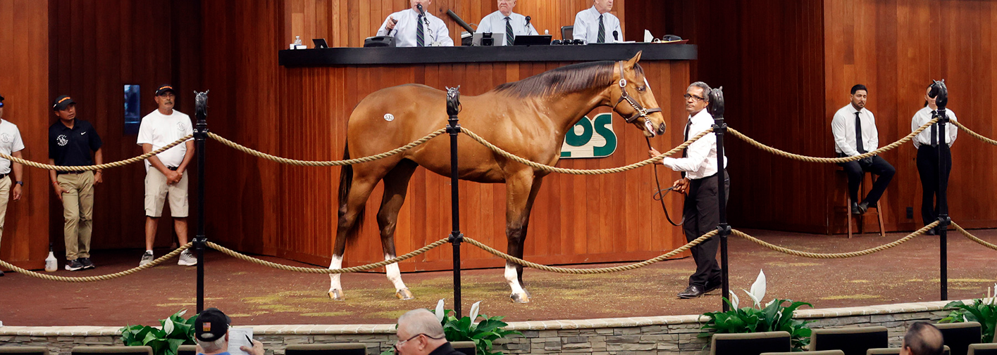 Not This Time Colt tops second OBS March session – OBS Sales