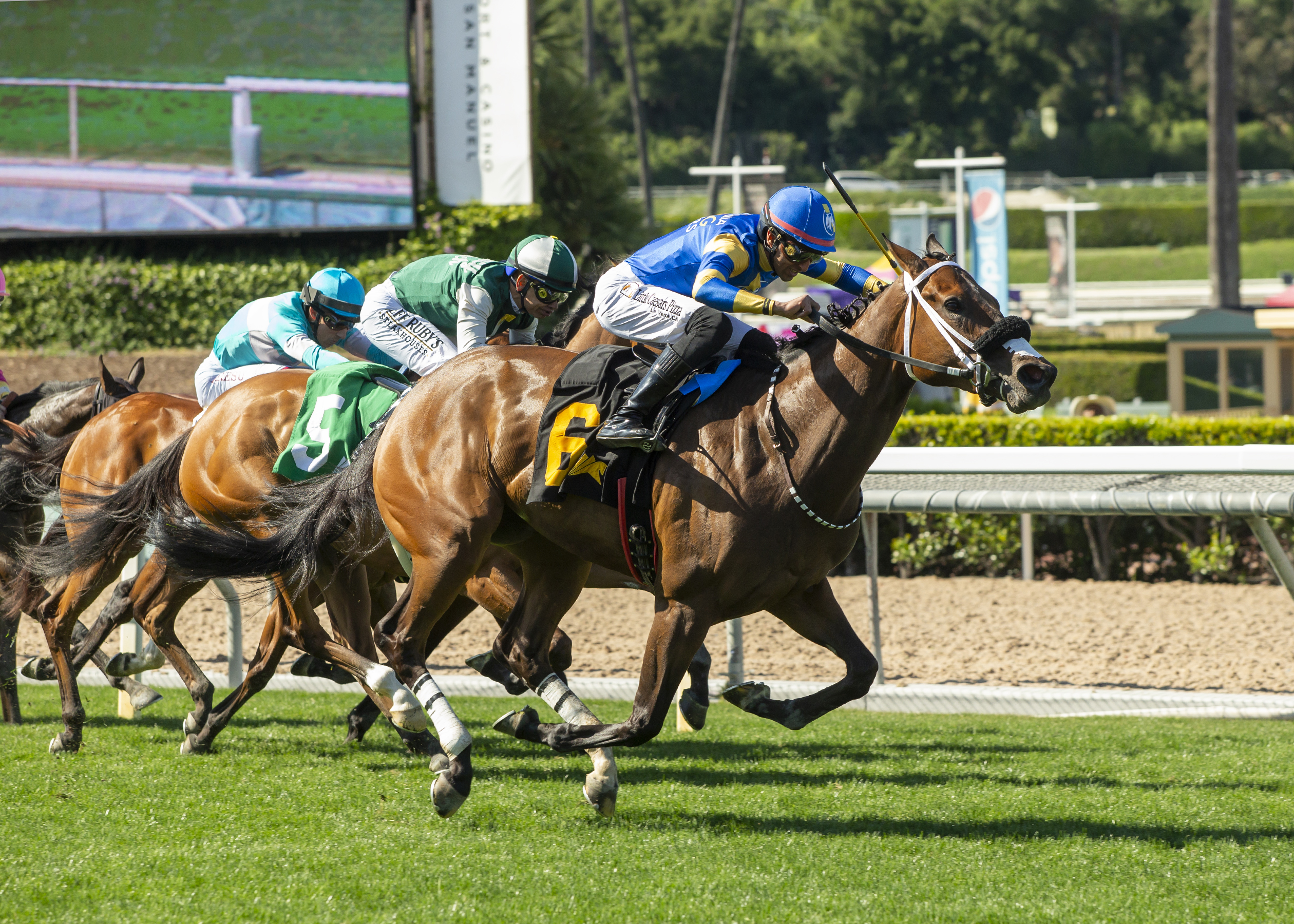 Visually scores in Santa Anita’s Senorita Stakes – OBS Sales