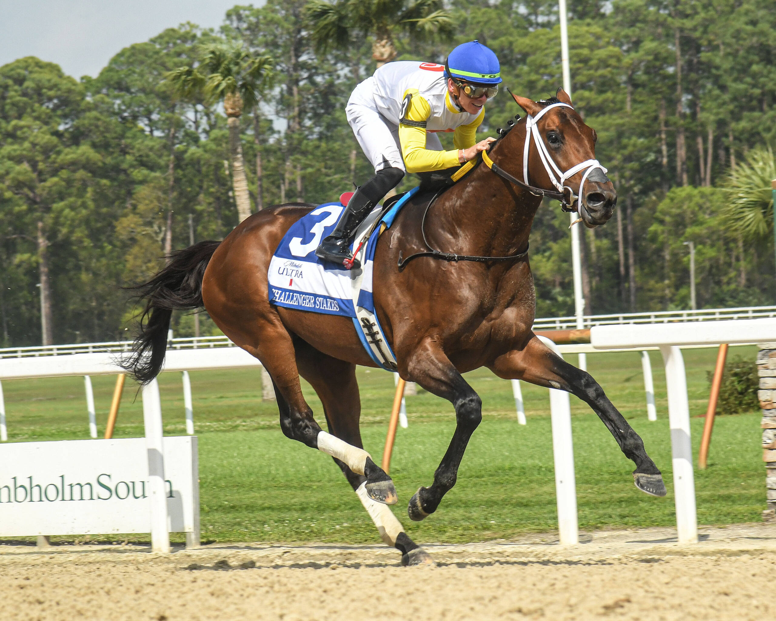 Skippylongstocking, Mystic Lake, Caitlinhergreatness score major Friday ...