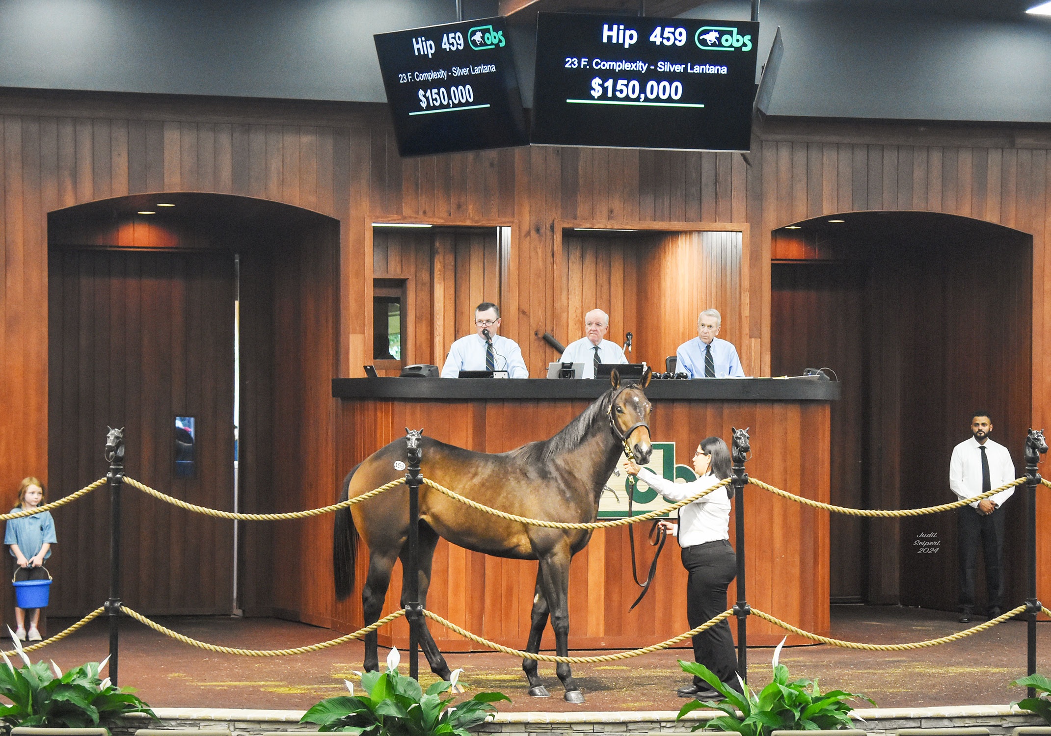 Complexity filly tops October Sale finale – OBS Sales