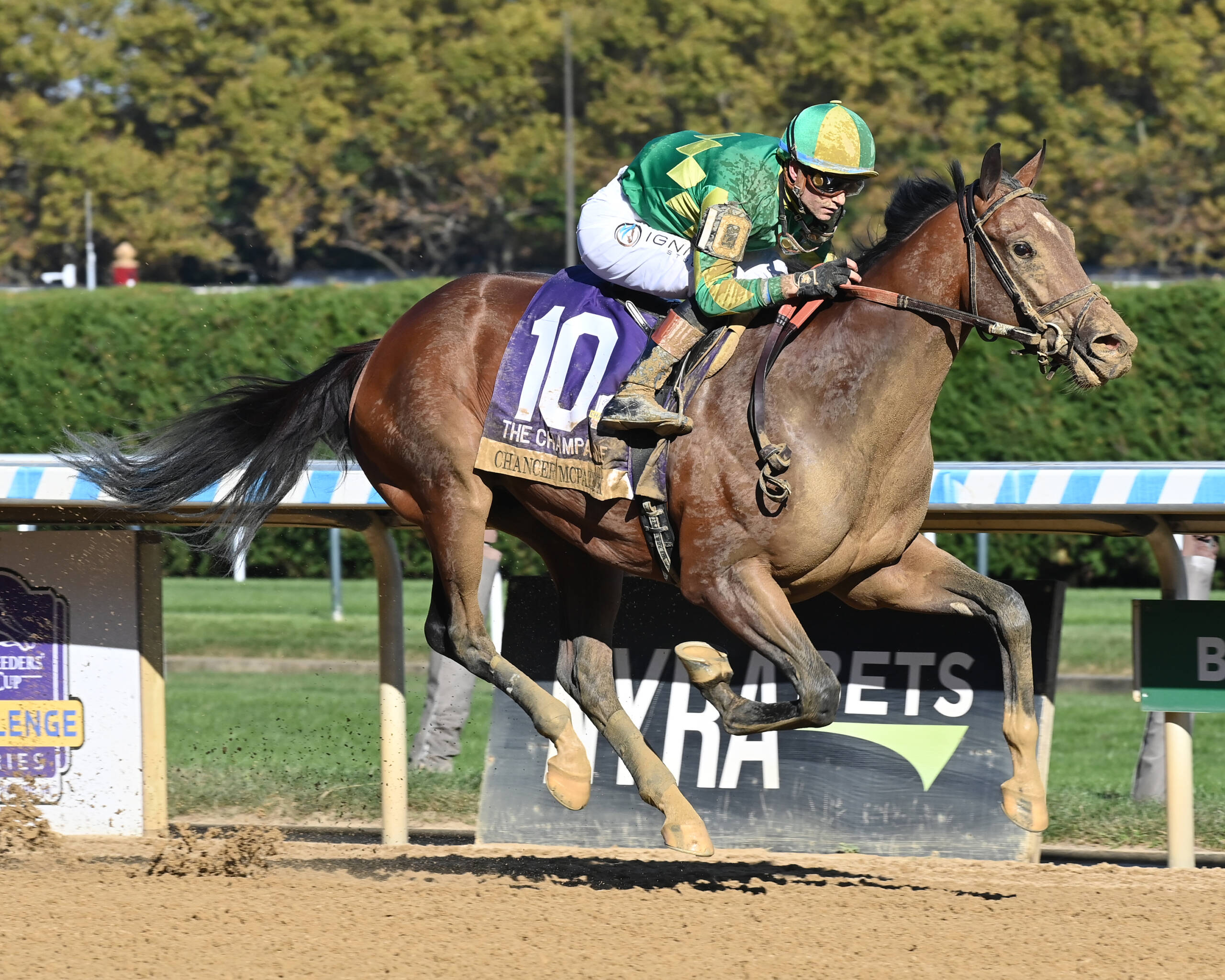 Chancer McPatrick, Scottish Lassie score in G1’s at Aqueduct – OBS Sales