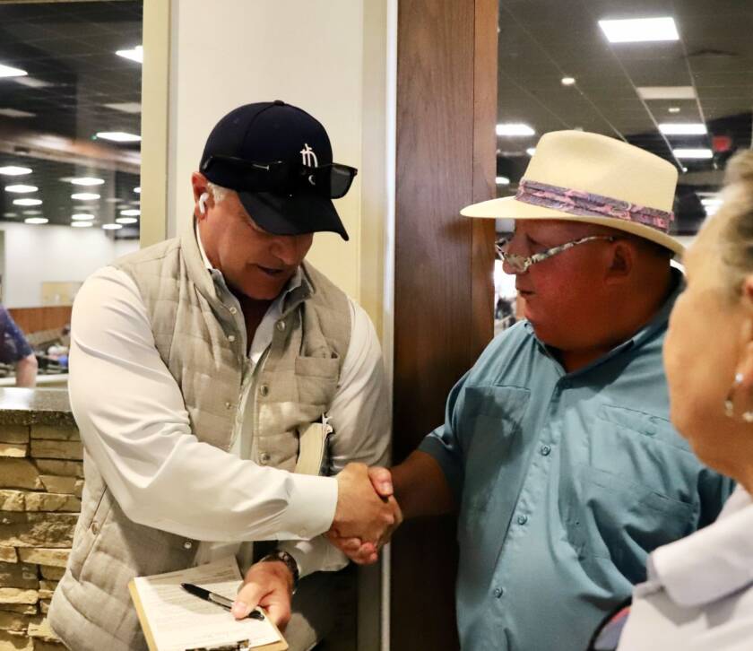 Son of Gun Runner Sells for Record $3 Million to Lead 2025 OBS March Sale – OBS Sales