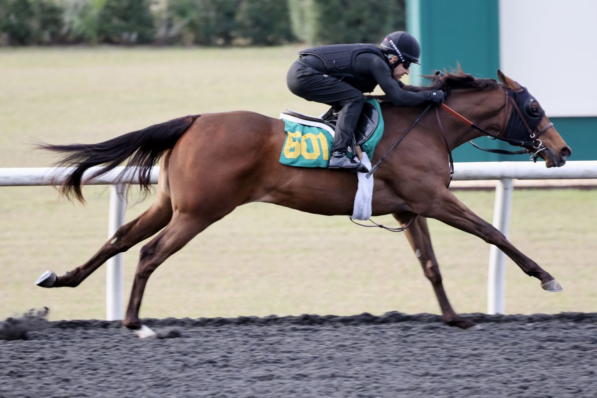 OBS March Two-Year-Olds in Training Sale Begins March 11 – OBS Sales