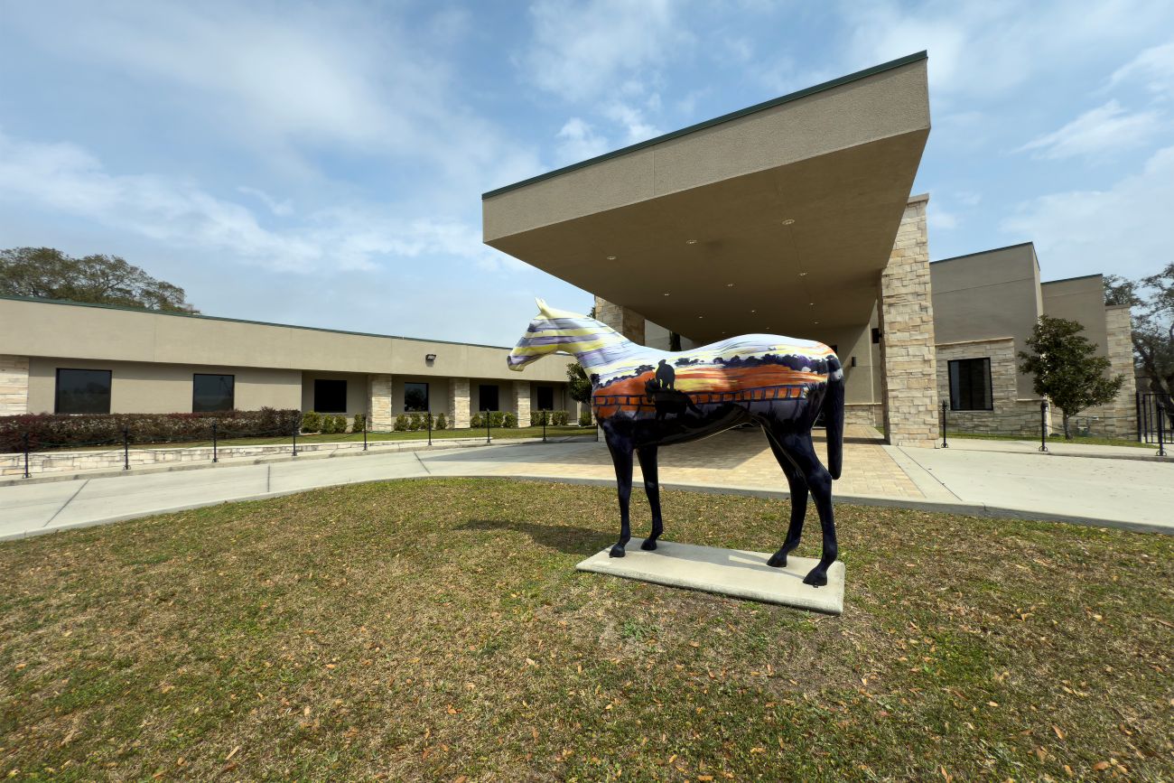 Mitole Filly Leads the Way in Day 3 of OBS Spring Under Tack Show – OBS Sales