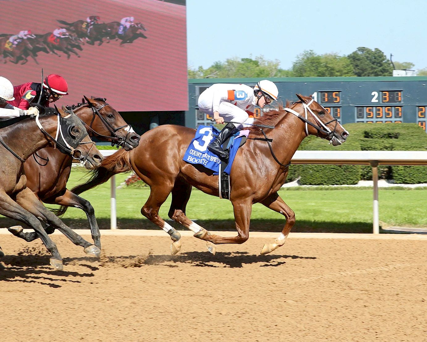 Booth Takes Count Fleet to Lead Slate of Stakes-Winning OBS Grads – OBS ...