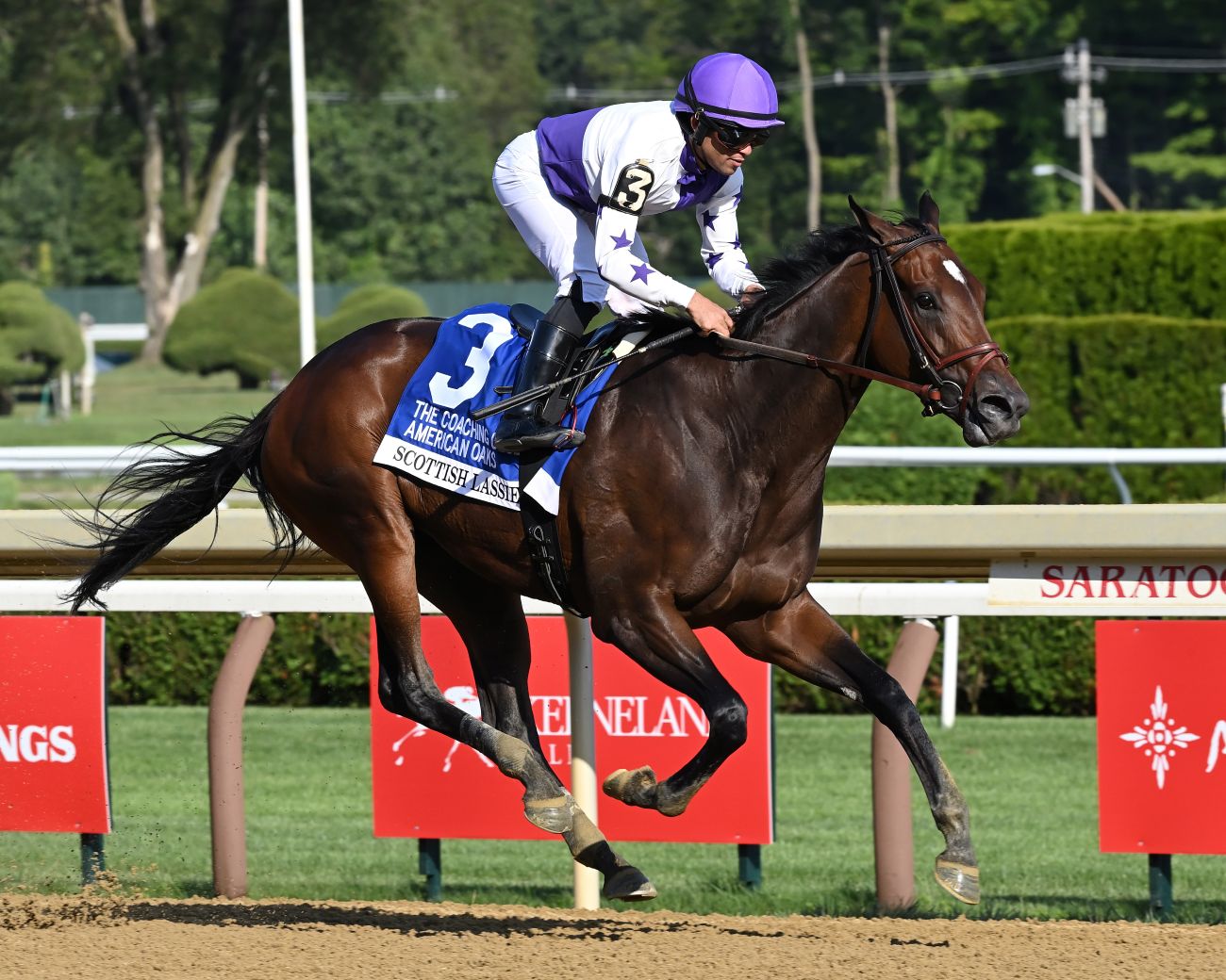 Scottish Lassie Earns Second Grade 1 Victory to Lead Stakes-Winning OBS ...