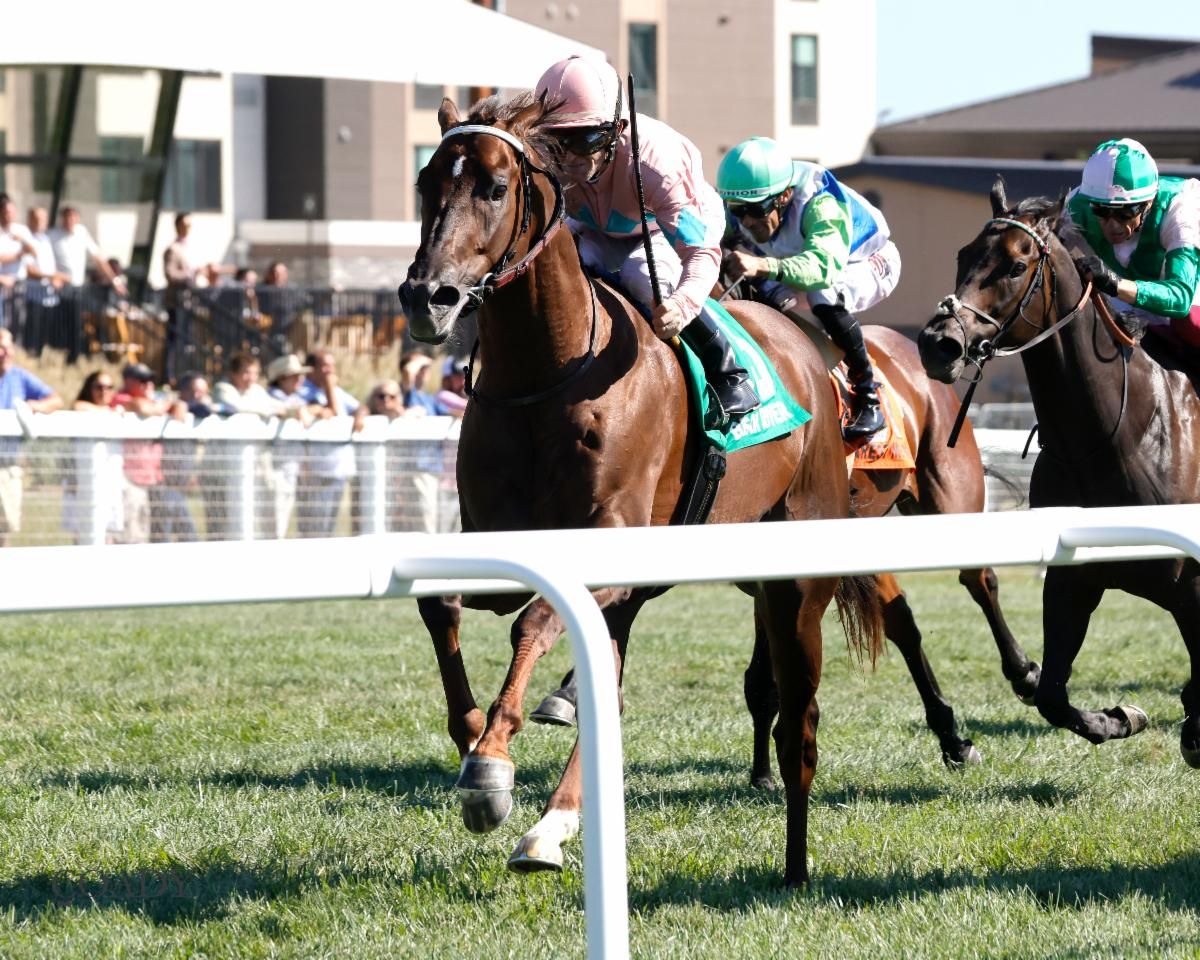 Bear River Claws His Way to Victory in Kentucky Turf Sprint to Lead ...