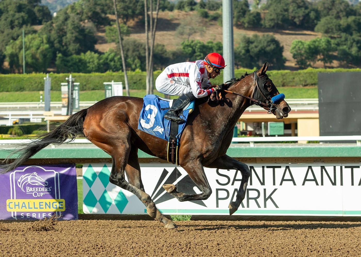 Unbeaten Cavalieri Captures Zenyatta to Lead Stakes-Winning OBS Grads ...