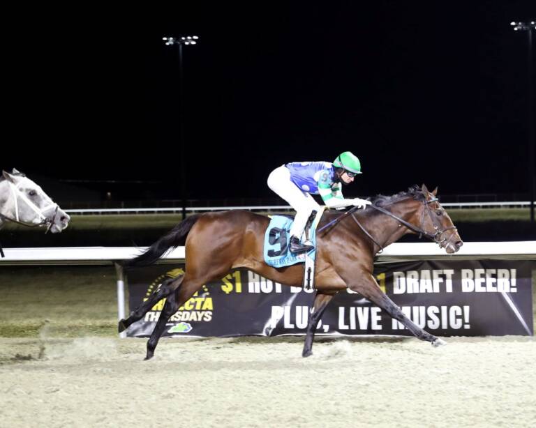 Street Beast, Neoequos Among OBS Grads to Earn Stakes Victories – OBS Sales