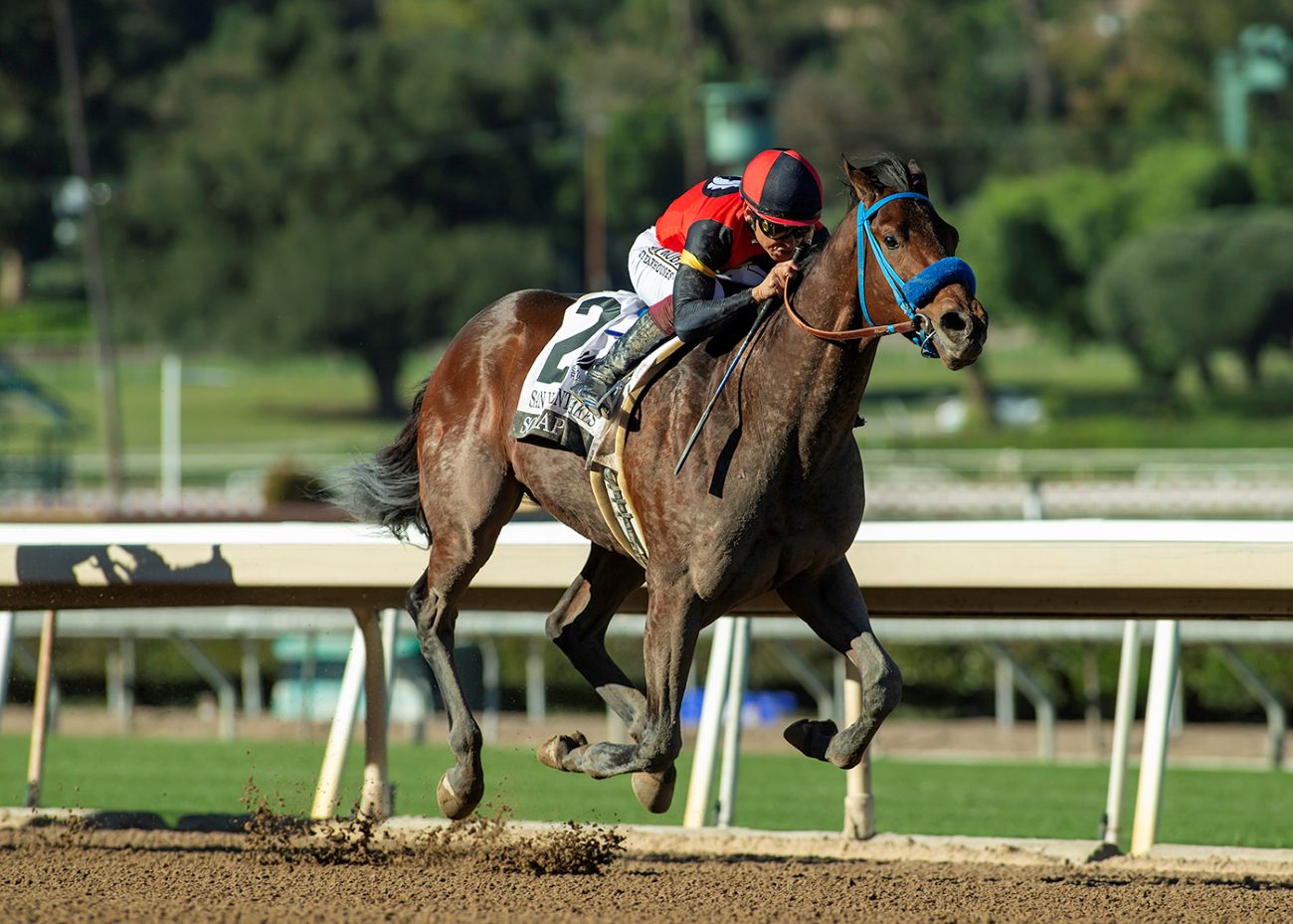 So Happy Too Good in San Vicente to Lead Stakes-Winning OBS Grads – OBS ...