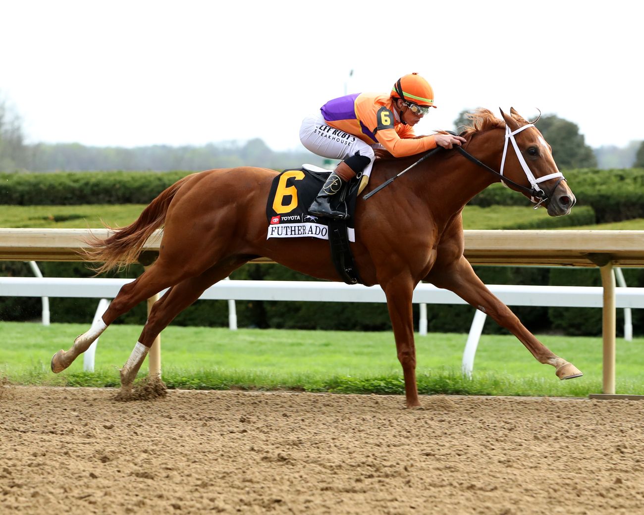OBS Grads Further Ado, So Happy Book Kentucky Derby Slots with Grade 1 ...
